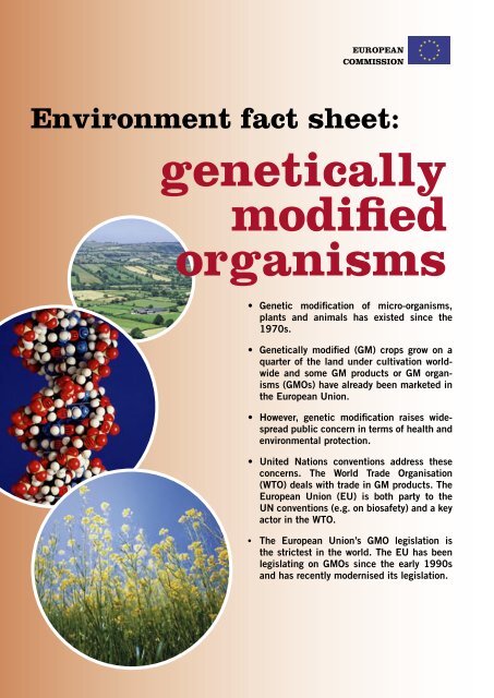 genetically modified organisms - Envirocentre