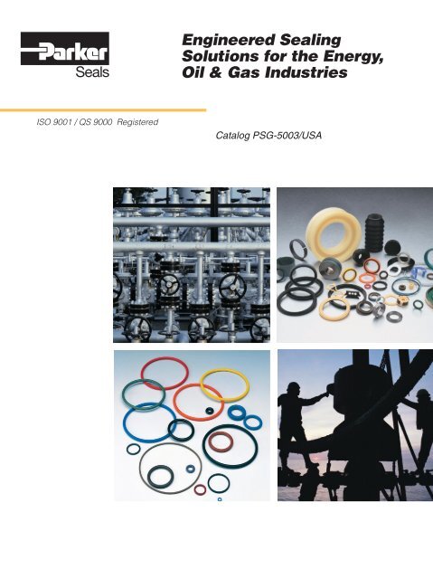 Engineered Sealing Solutions for the Energy, Oil & Gas ... - Darcoid