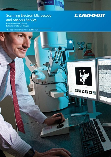 Scanning Electron Microscopy and Analysis Service