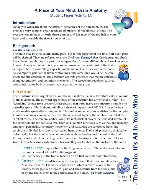 The Brain It s All In Your Mind Teacher Enrichment Initiatives The 
