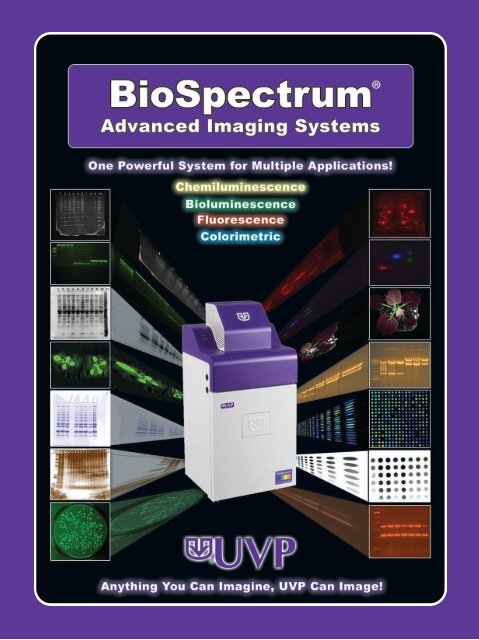 BioSpectrum System