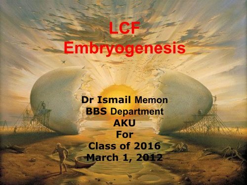 Primitive streak formation