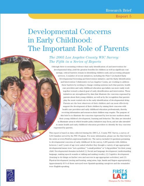 Developmental Concerns in Early Childhood: The Important Role of ...