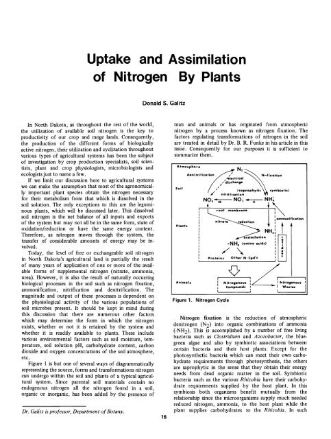 Uptake and Assimilation of Nitrogen By Plants