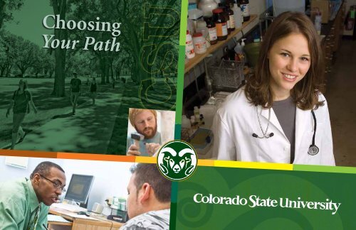 Choosing Your Path - Admissions - Colorado State University
