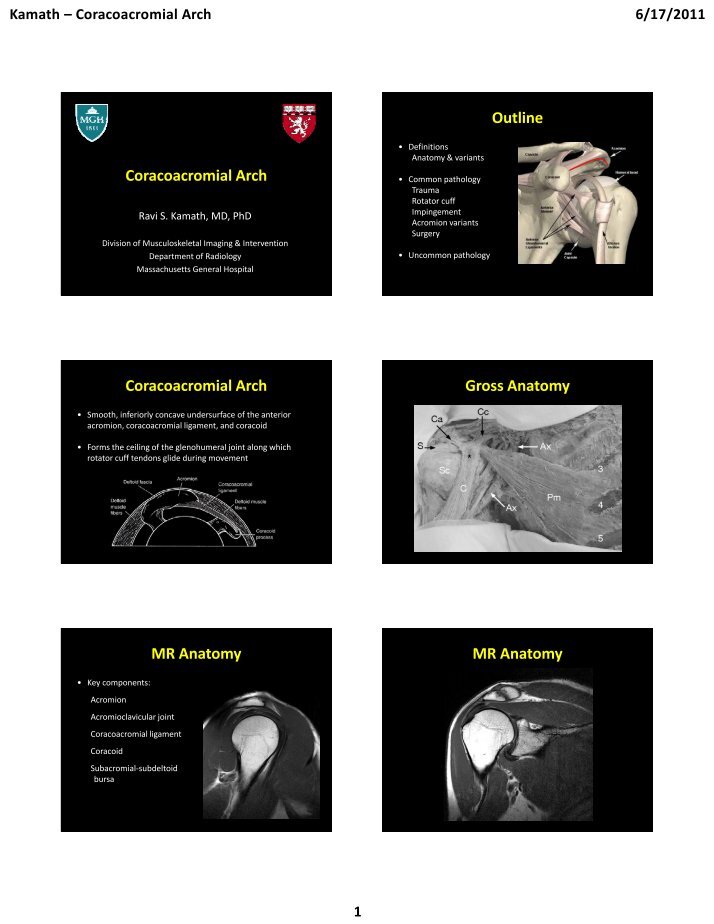 Acromiale Magazines