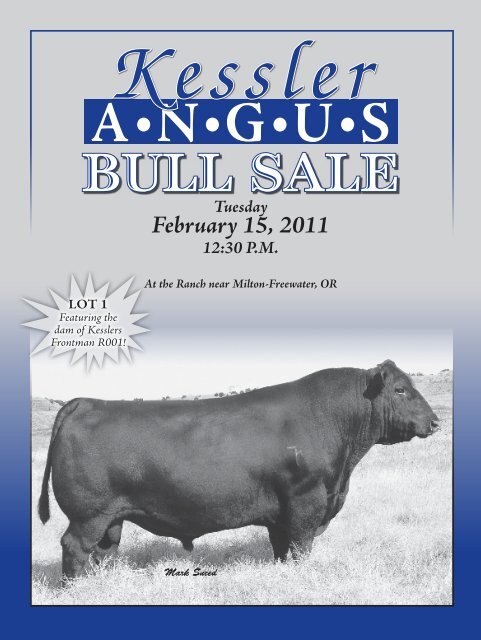 BULL SALE - Angus Journal