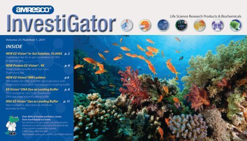 Loading Buffer Low Molecular Weight DNA Ladder | NEB