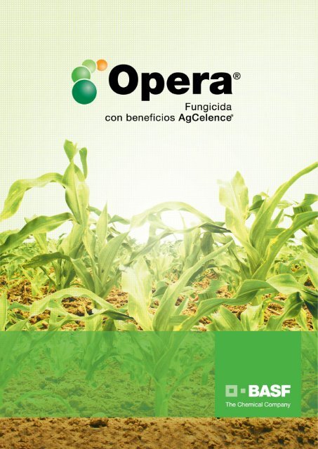 Folleto Opera MaÃ­z - Basf