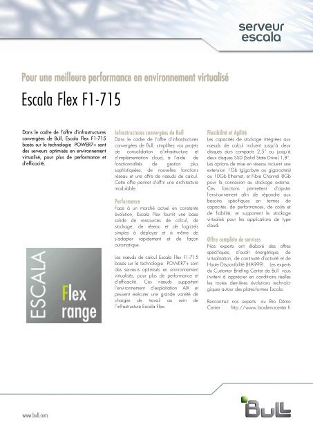 Escala Flex F1-715 - Bull