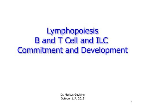 Lymphopoiesis B and T Cell and ILC Commitment and Development