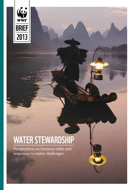 WATER STEWARDSHIP - WWF