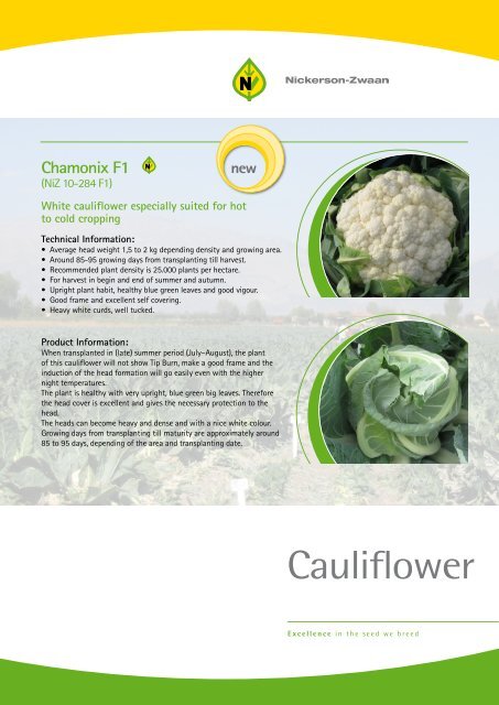 Cauliflower - Product leaflet - Chamonix - Nickerson-Zwaan