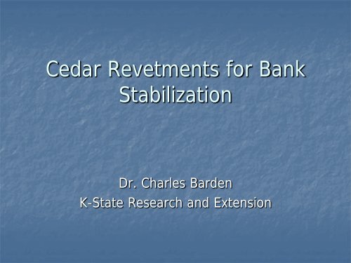 Red cedar revetments for bank stabilization