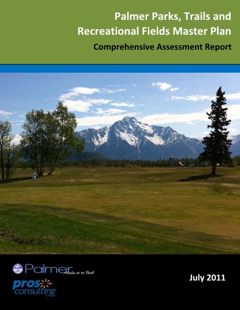 Comprehensive Assessment Report - City of Palmer, Alaska