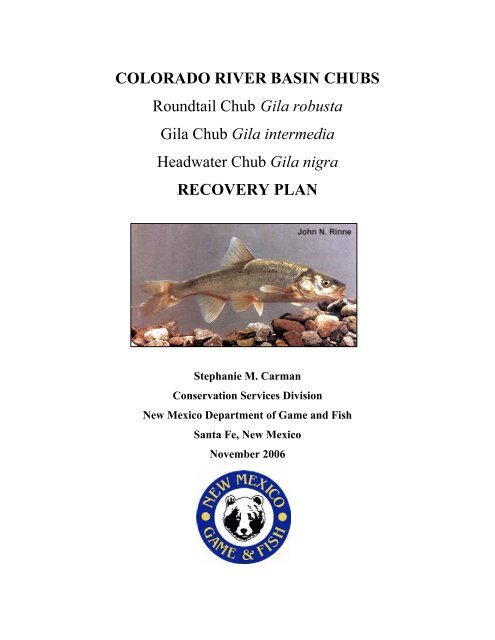 COLORADO RIVER BASIN CHUBS Roundtail Chub Gila robusta ...