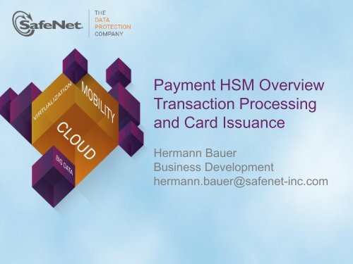 Payment HSM Overview Transaction Processing and Card ... - SafeNet