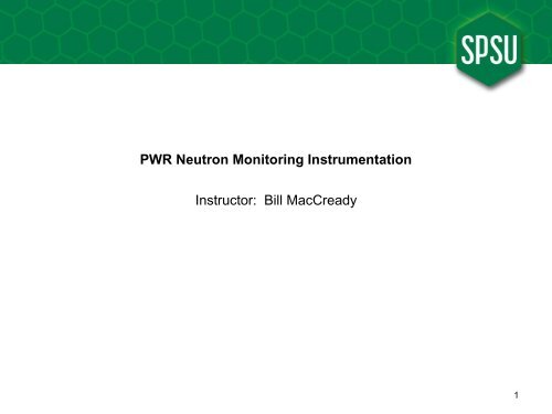 PWR Neutron Monitoring Instrumentation