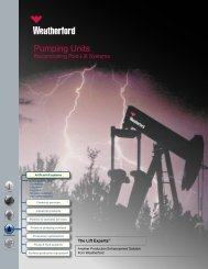 CSTH Storm Packer - Weatherford International