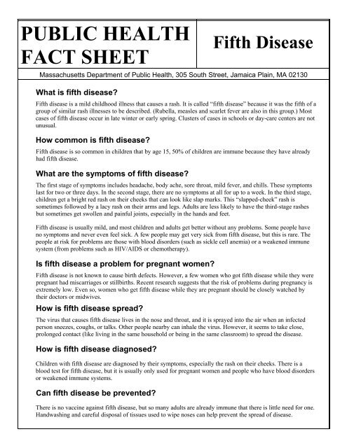 Fifth Disease Fact Sheet - Holliston Public Schools
