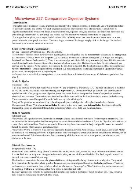 april 15 microviewer comparative digestion