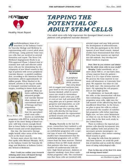 TAPPING THE POTENTIAL OF ADULT STEM CELLS - cmmrf