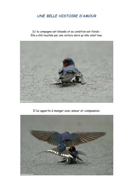 la belle histoire de mes 4 ans