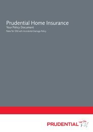 prudential car insurance policy booklet - Your Policy Summary