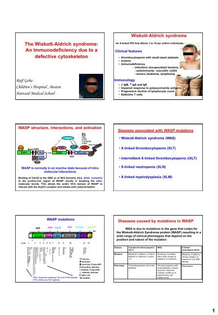 The Wiskott-Aldrich syndrome: An Immunodeficiency due to a ...