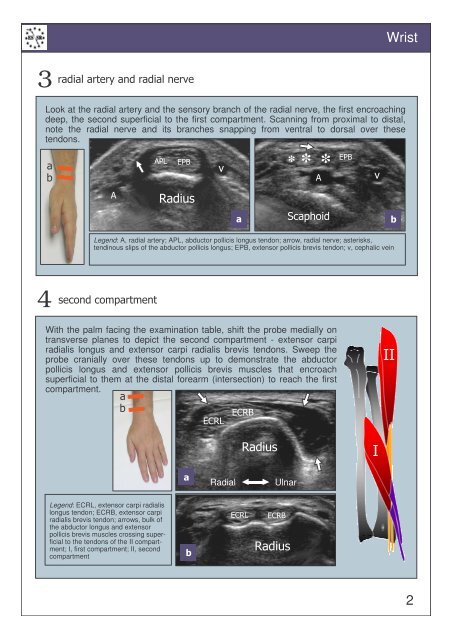Note The standard US exam