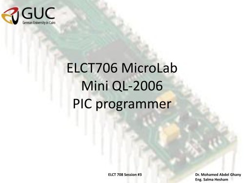 ELCT706 MicroLab Mini QL-2006 PIC programmer
