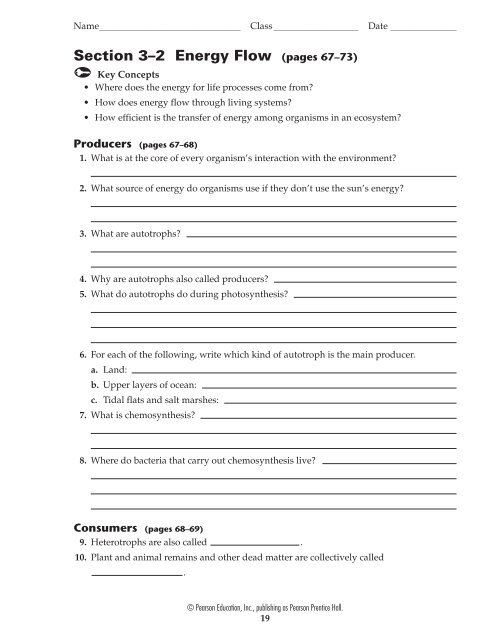 Energy Flow Through An Ecosystem Pearson