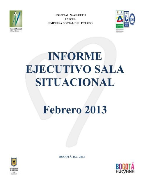 Informe Ejecutivo Final Sala Situacional - Hospital Nazareth I Nivel ...
