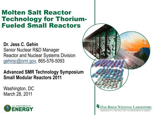 Molten Salt Reactor Technology for Thorium- Fueled Small Reactors