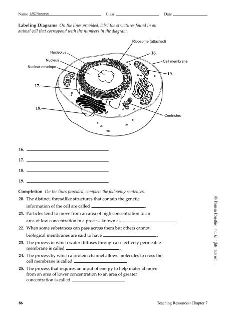 Chapter 7 Cell Structure And Function Concept Map Answers - Map
