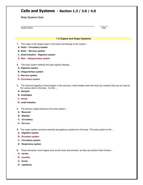 Integumentary System Quiz