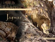 Flower Dissection - Arizona-Sonora Desert Museum