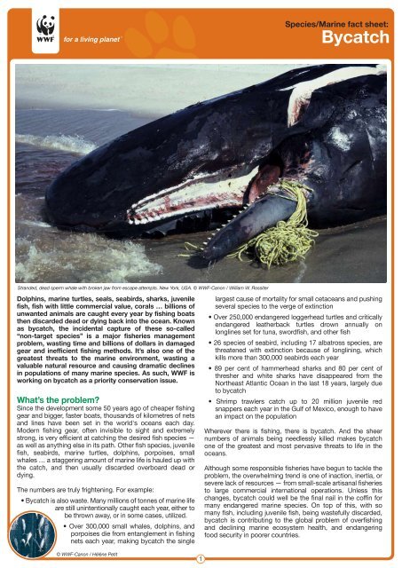 WWF Bycatch Fact Sheet.pdf