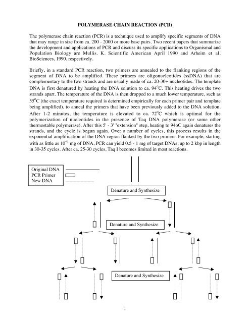 The polymerase chain reaction (PCR) - Projects at NFSTC.org