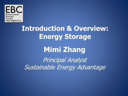 Energy Storage Mimi Zhang