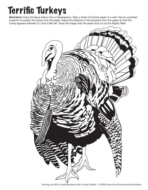 Terrific Turkeys - Project Wild