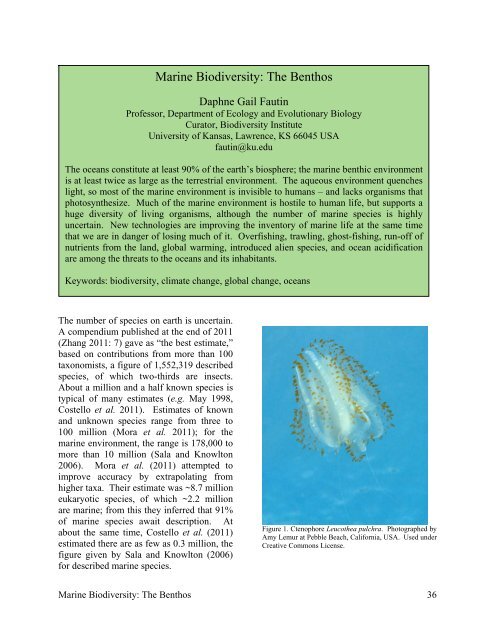 Marine Biodiversity: The Benthos - Biology International