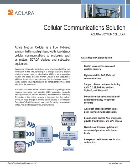 Aclara Metrum Cellular Fact Sheet