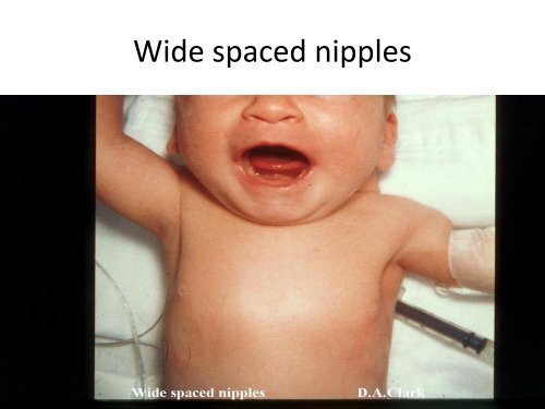 Copyright ©2008 American