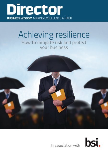 Achieving Resilience Guide - BSI