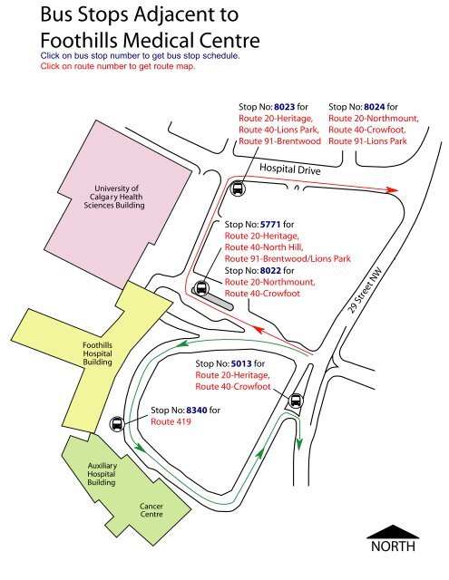 Bus Stops Adjacent to