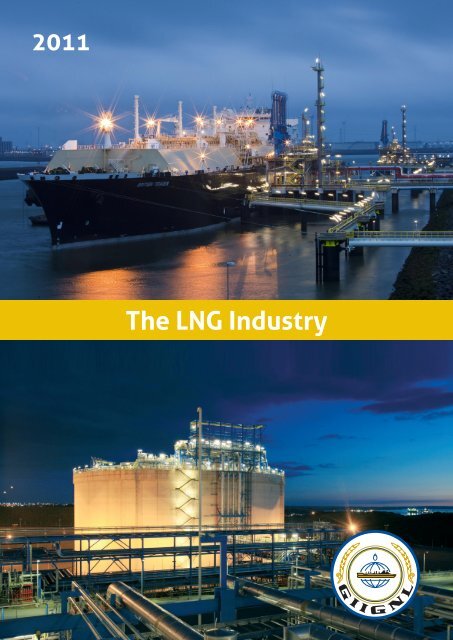 The lng Industry