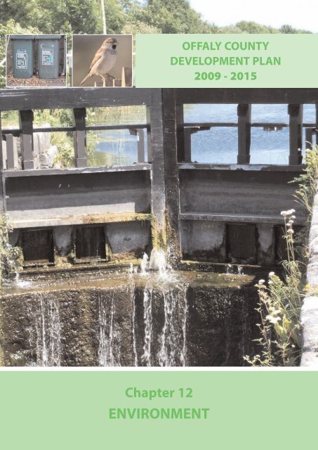 Chapter 12 - Environment.pdf - Offaly County Council