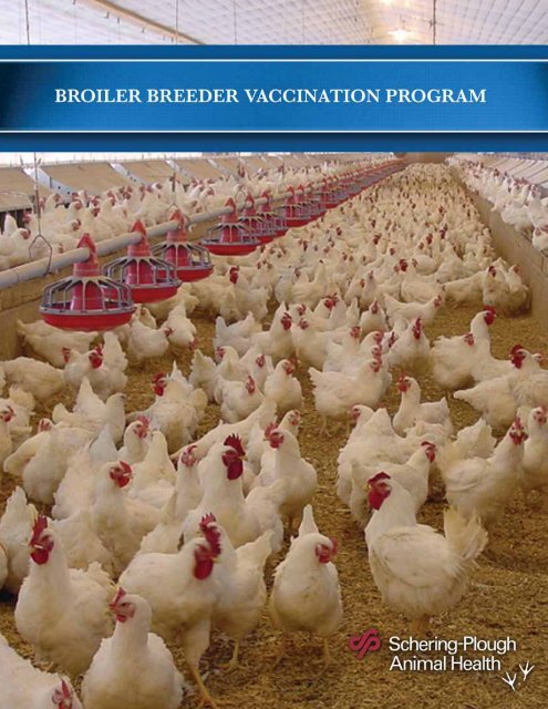 Broiler Breeder Vaccination Program - Merck Animal Health