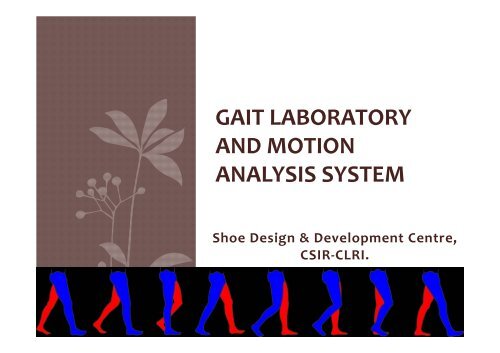 GAIT LABORATORY AND MOTION ANALYSIS SYSTEM - CLRI